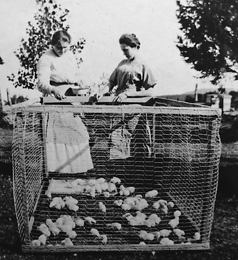 Old MacDonald Had a Farm… — Twin Cities Bungalow Club
